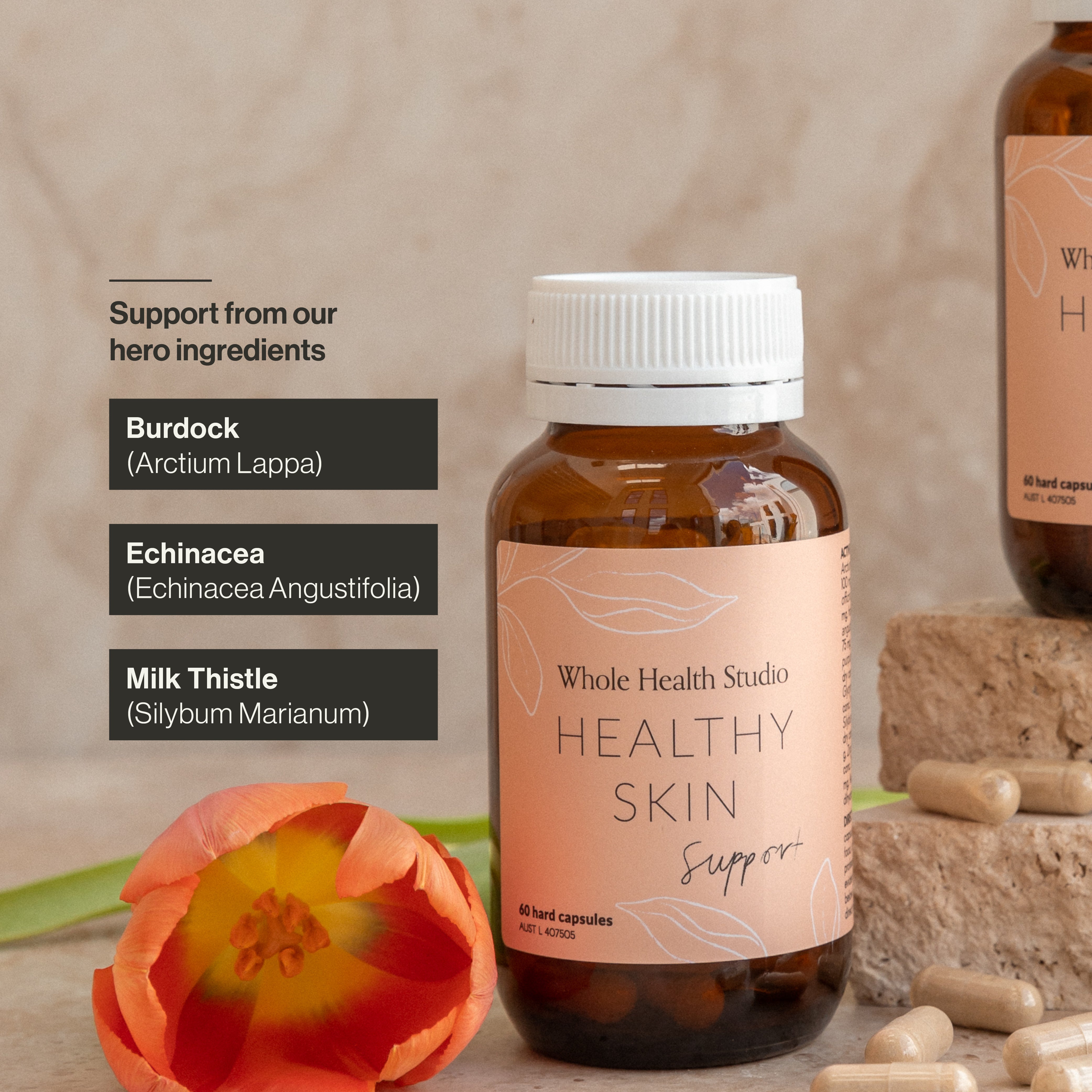 Healthy Skin Support – Whole Health Studio