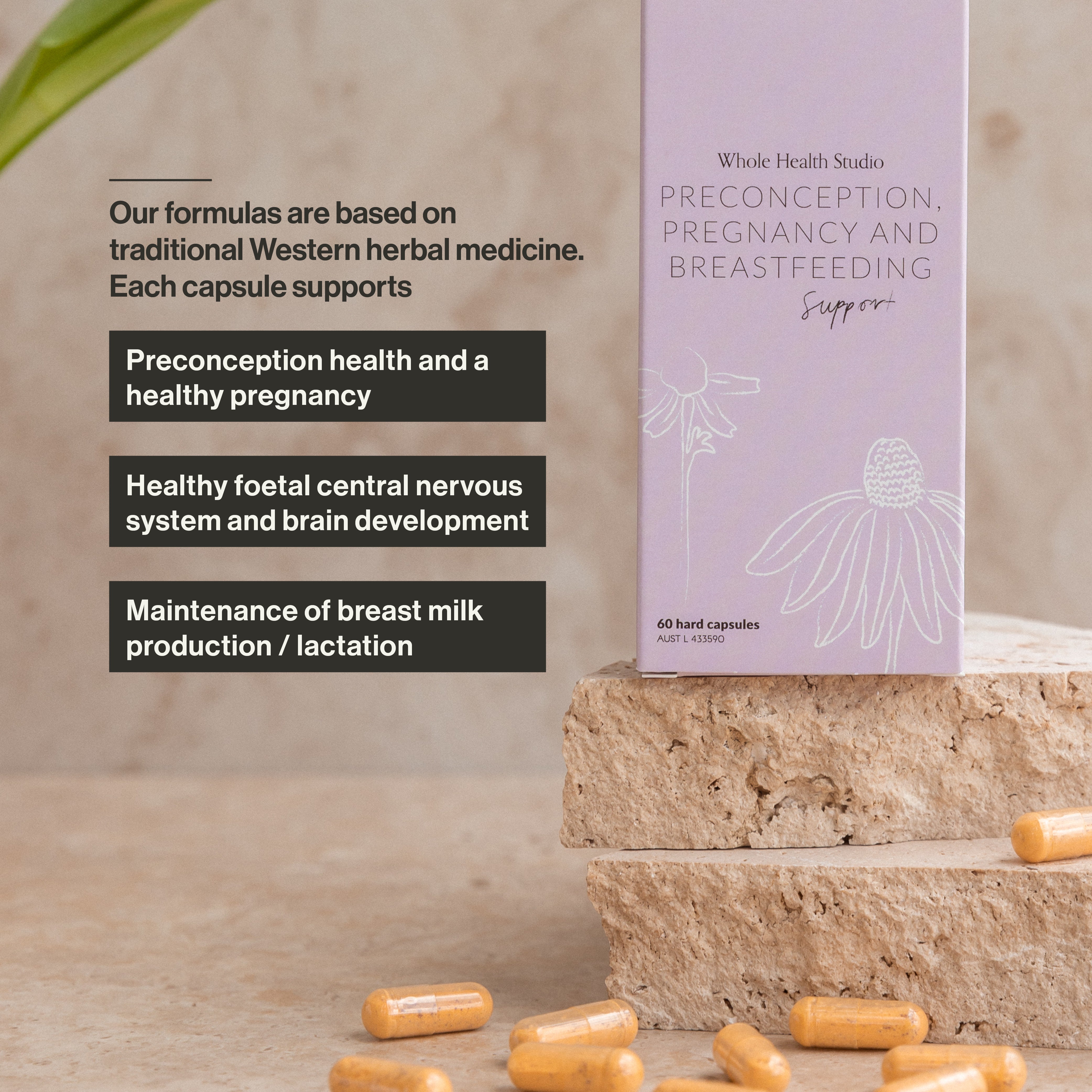 Preconception, Pregnancy and Breastfeeding Support – Whole Health Studio